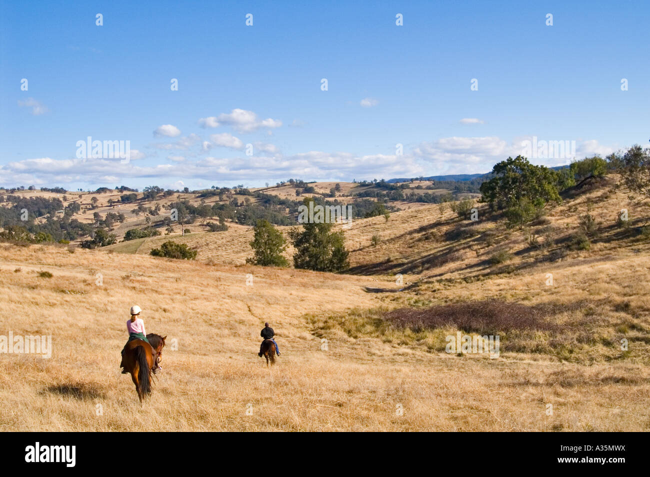 horse ridding in Australian outback Stock Photo - Alamy