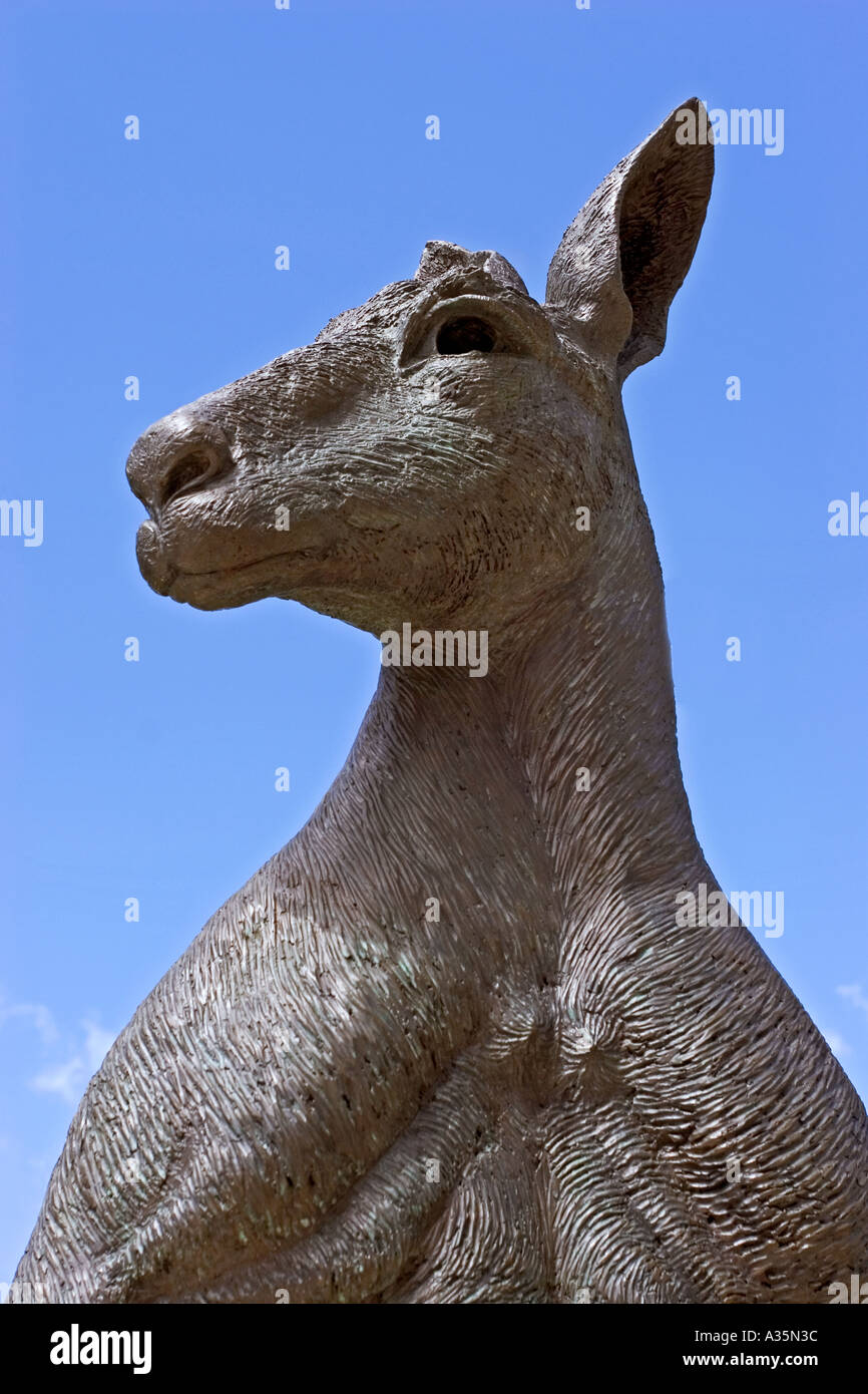 Kangaroo statue perth australia hi-res stock photography and images - Alamy