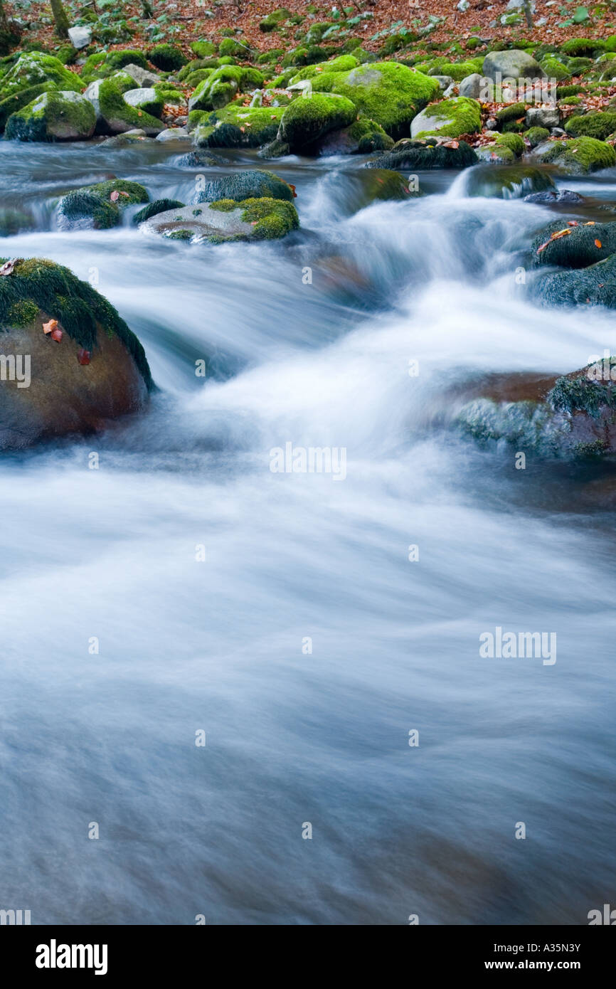 Fast flowing small river Stock Photo - Alamy