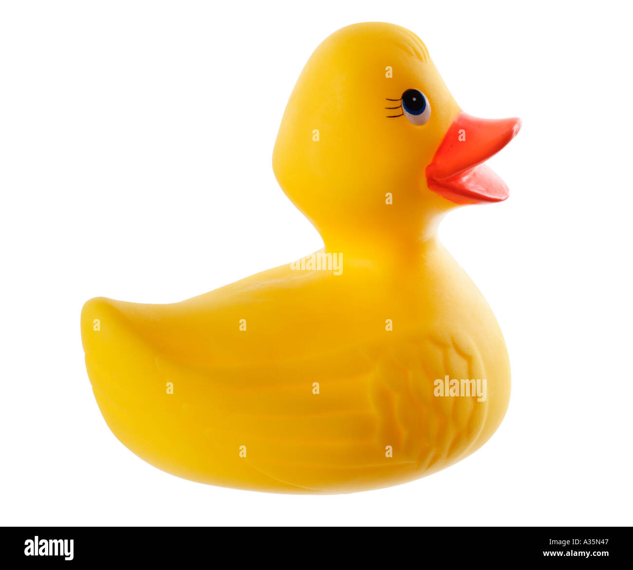 Duckie High Resolution Stock Photography and Images - Alamy