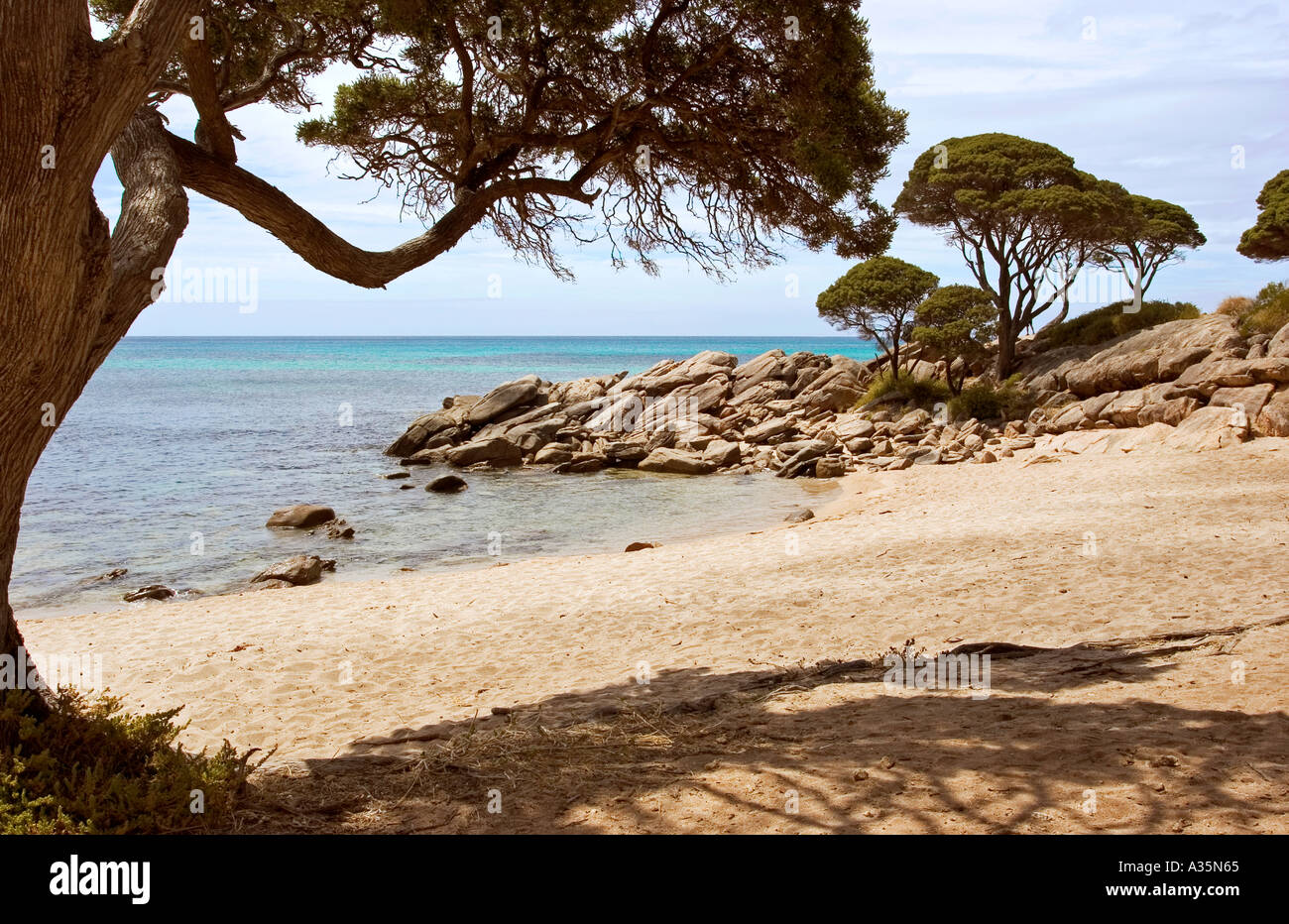 Bunker Bay beach Geographe Bay Western Australia Stock Photo - Alamy