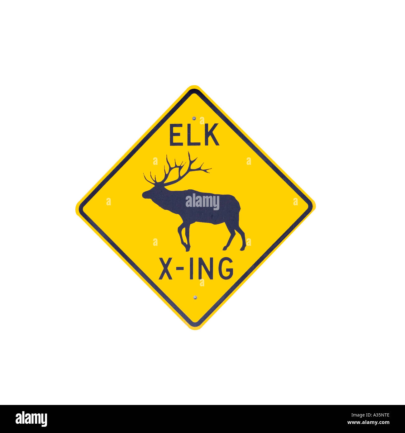 Elk sign Cut Out Stock Images & Pictures - Alamy