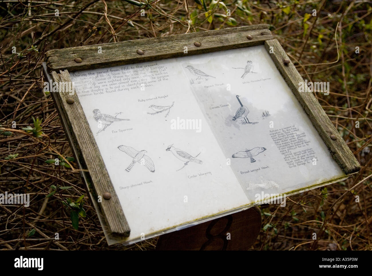 Bird chart hi-res stock photography and images - Alamy