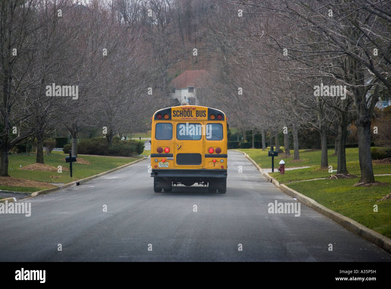 School bus traveling through a neighborhood Stock Photo - Alamy