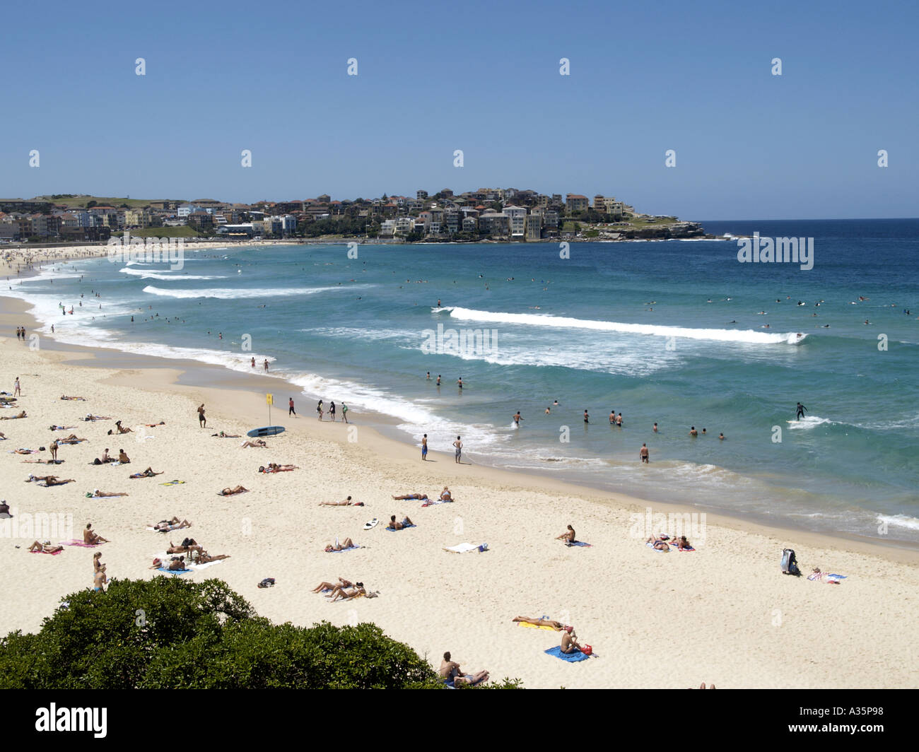 SUN BATHING ON BONDI BEACH NEW WALES AUSTRALIA Stock Photo - Alamy