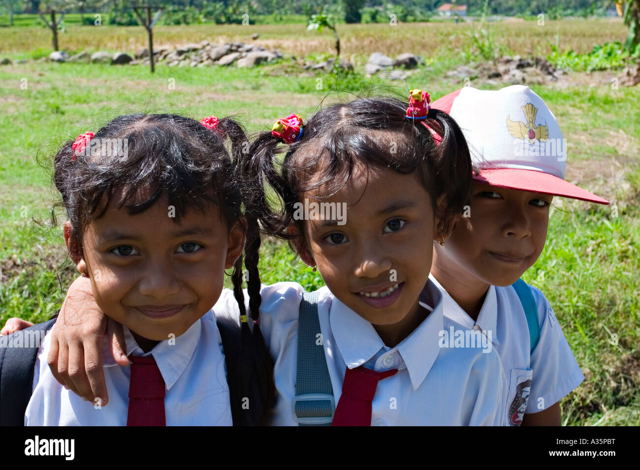 Indonesian school girls, Kalibaru, Java, Indonesia, Asia Stock Photo ...