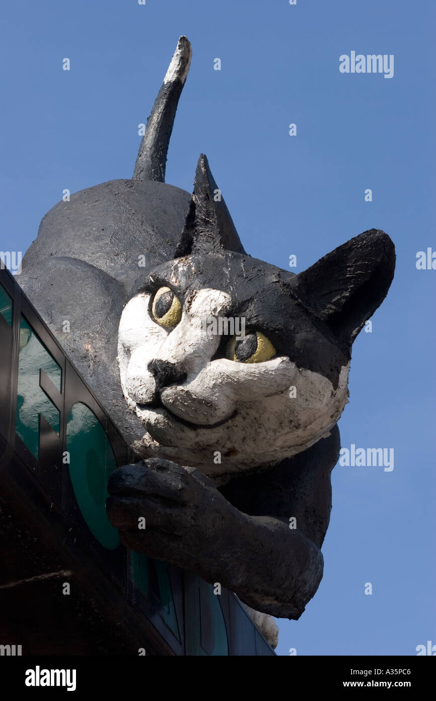 Catford cat hi-res stock photography and images - Alamy