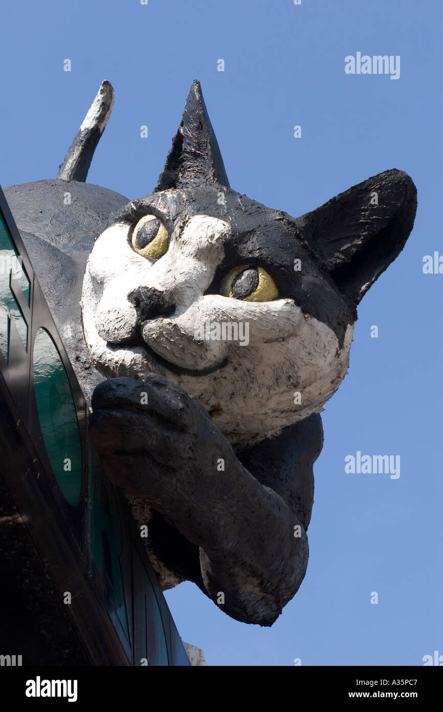 Catford cat hi-res stock photography and images - Alamy