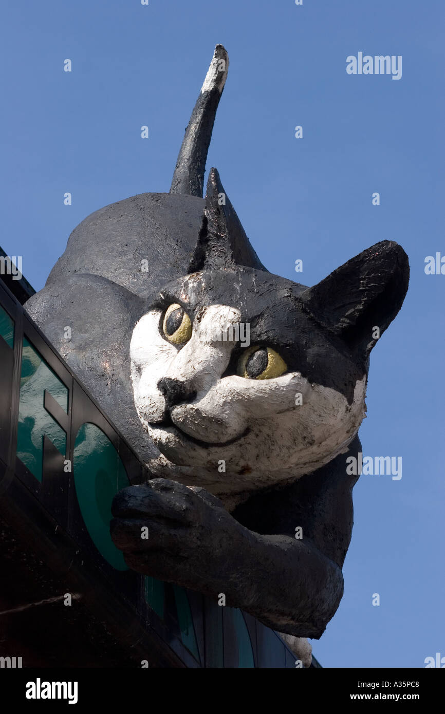 Catford cat hi-res stock photography and images - Alamy