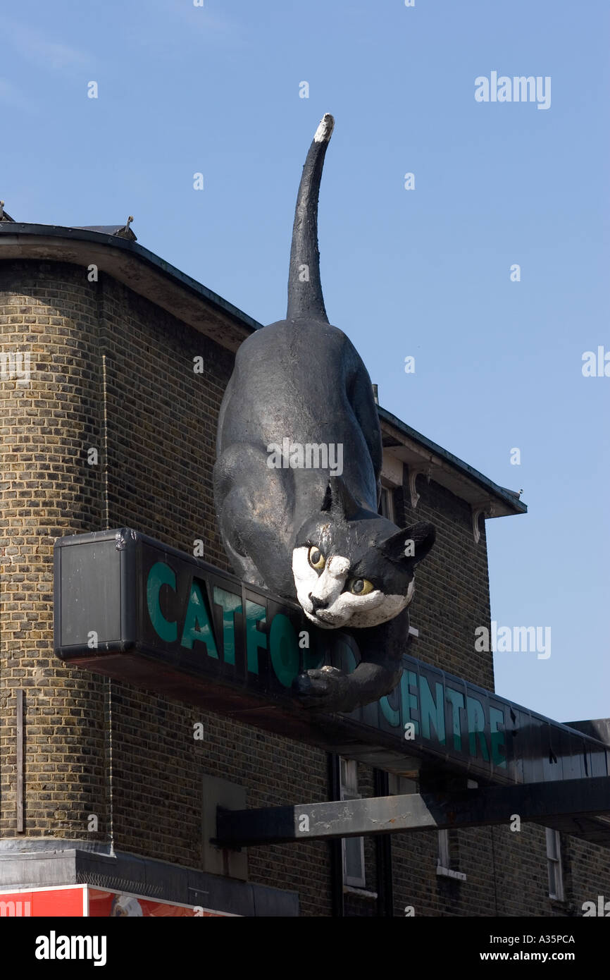 Catford cat hi-res stock photography and images - Alamy
