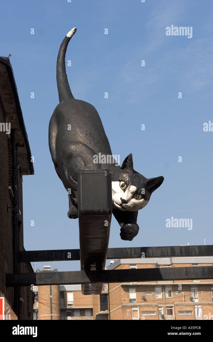 Catford cat hi-res stock photography and images - Alamy