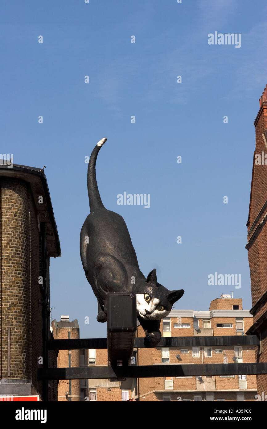 Catford cat hi-res stock photography and images - Alamy