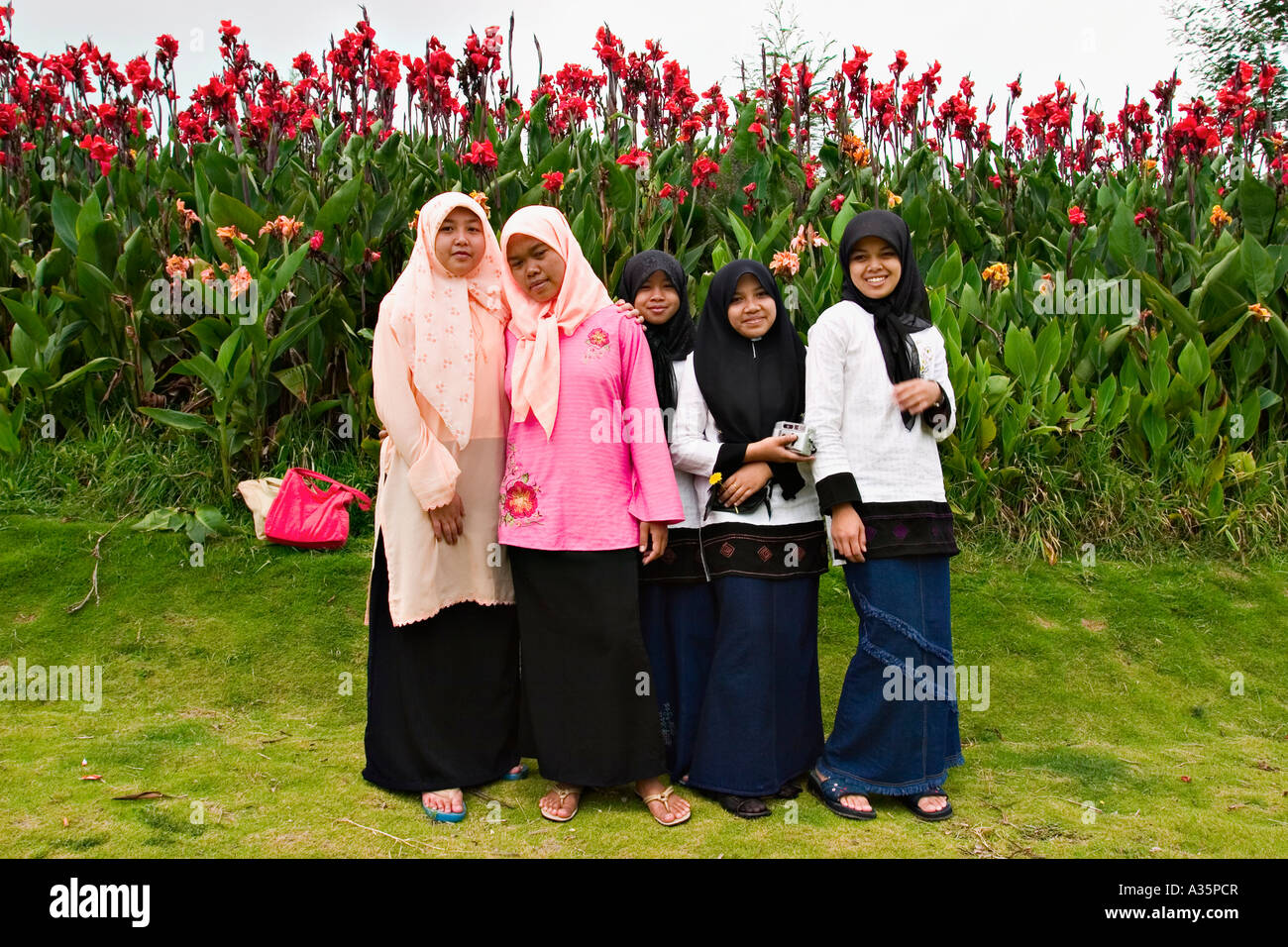 School Girls in Dieng Plateau, Java, Indonesia, Asia Stock Photo - Alamy