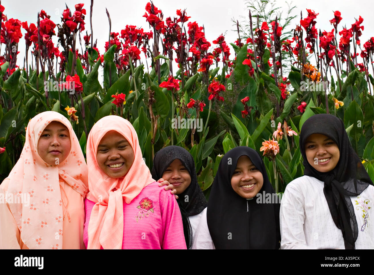 School Girls in Dieng Plateau, Java, Indonesia, Asia Stock Photo - Alamy