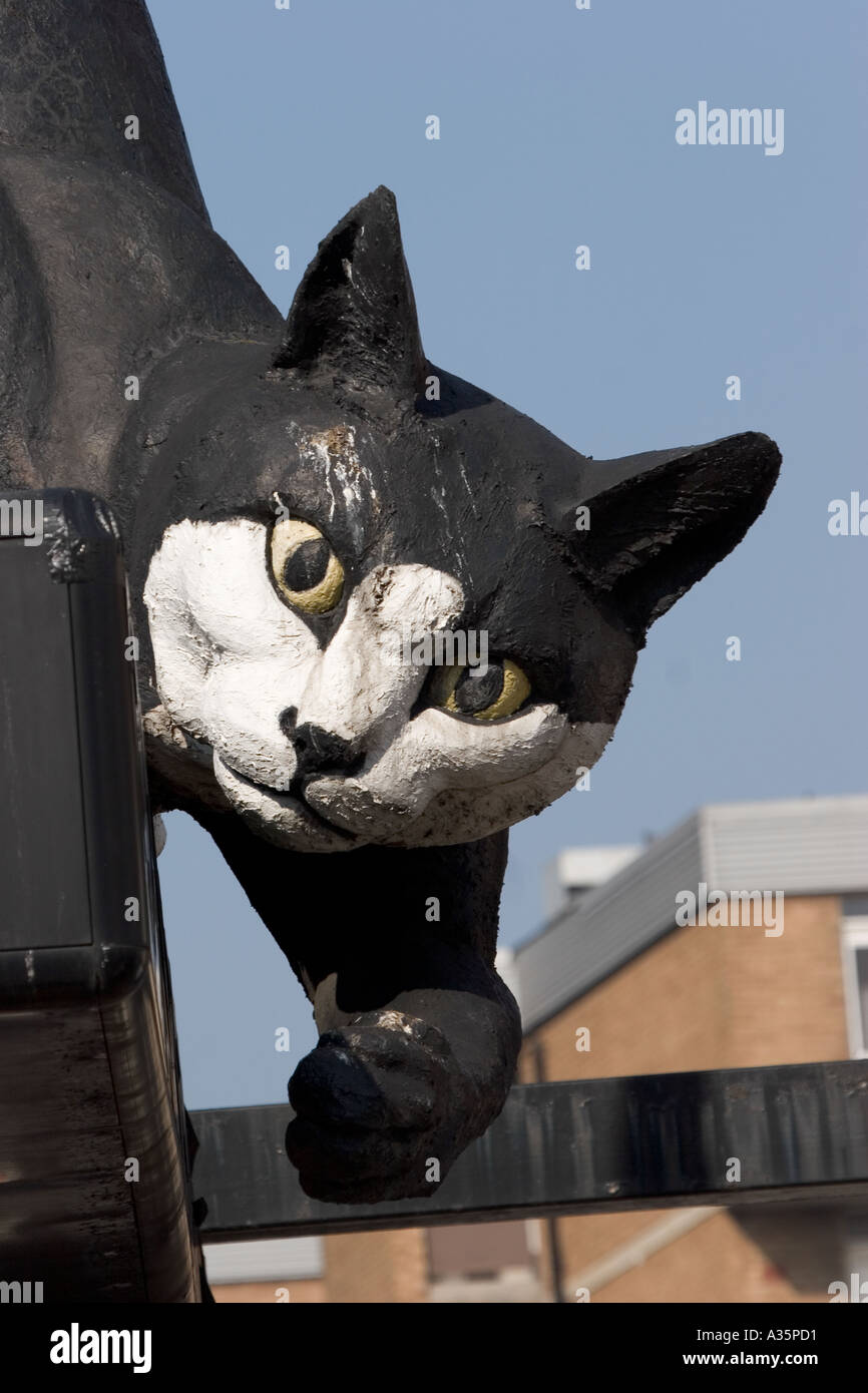 Catford cat hi-res stock photography and images - Alamy