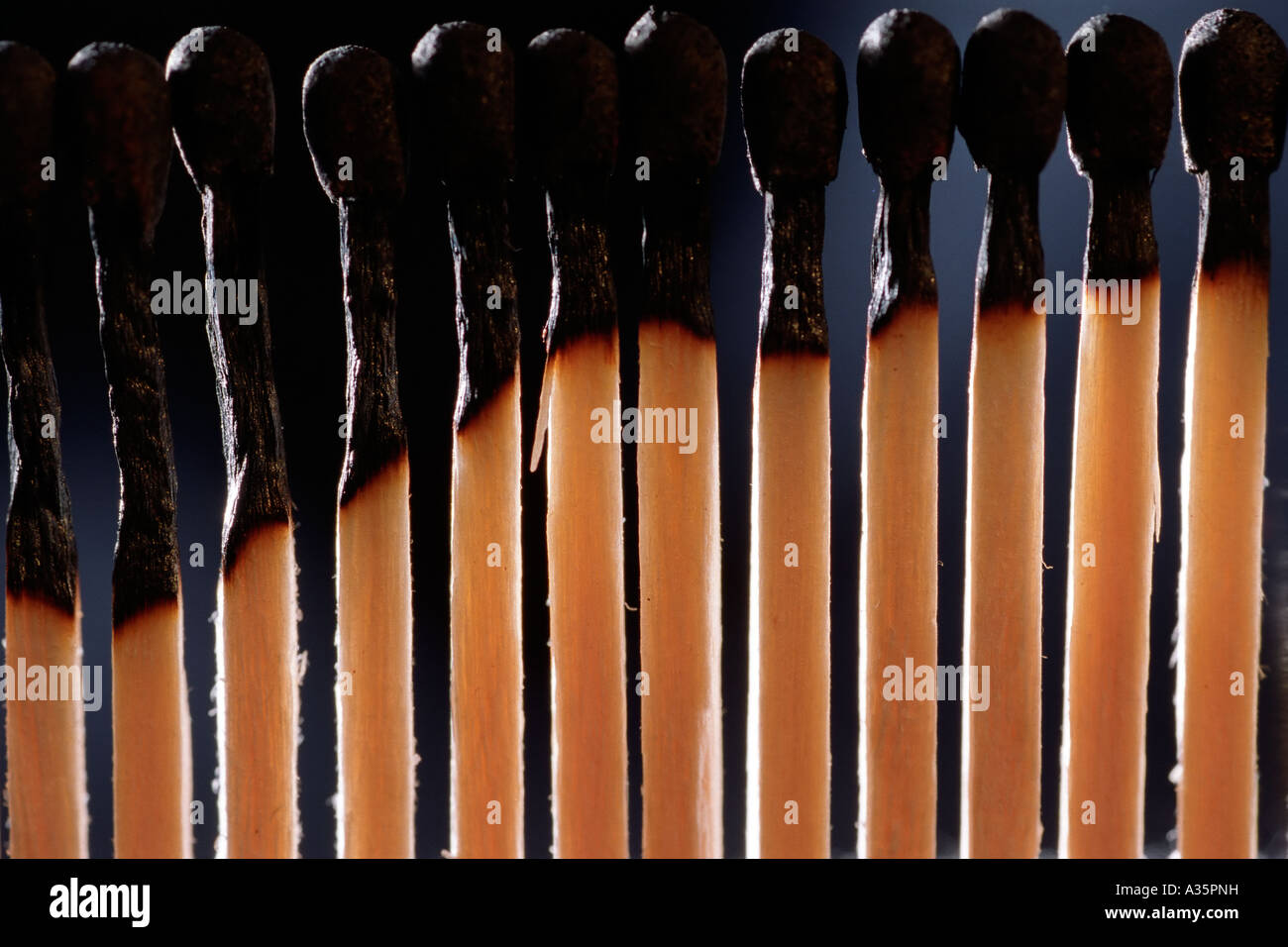 A line of burned matches Stock Photo - Alamy