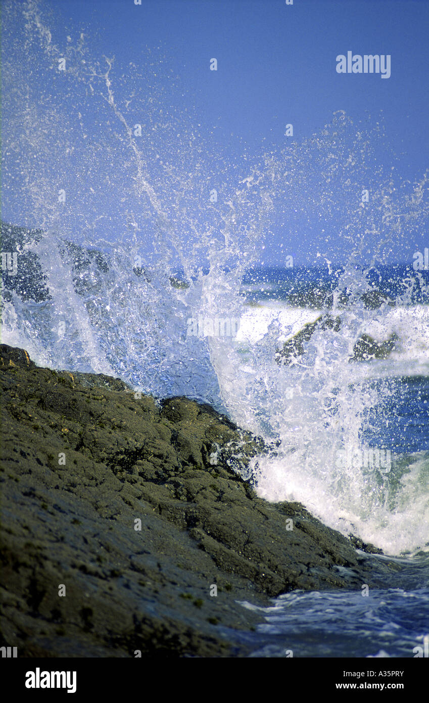 a sea wave splashed on a rock Stock Photo - Alamy