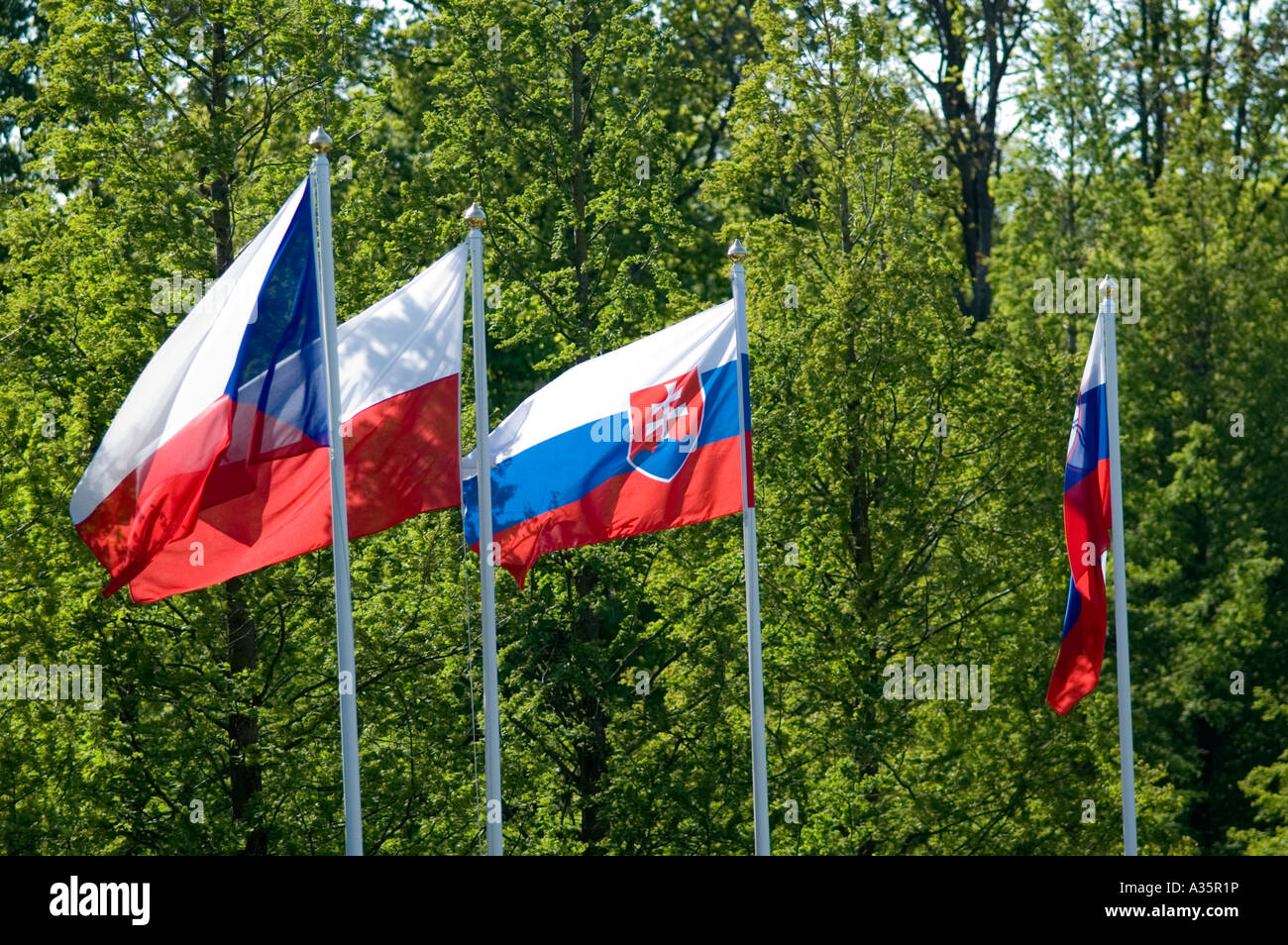 flags of Czechia, Poland, and Slovakia Stock Photo - Alamy