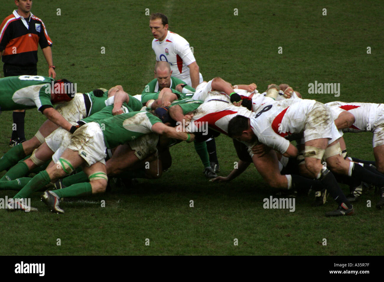 Matt dawson england rugby hi-res stock photography and images - Alamy