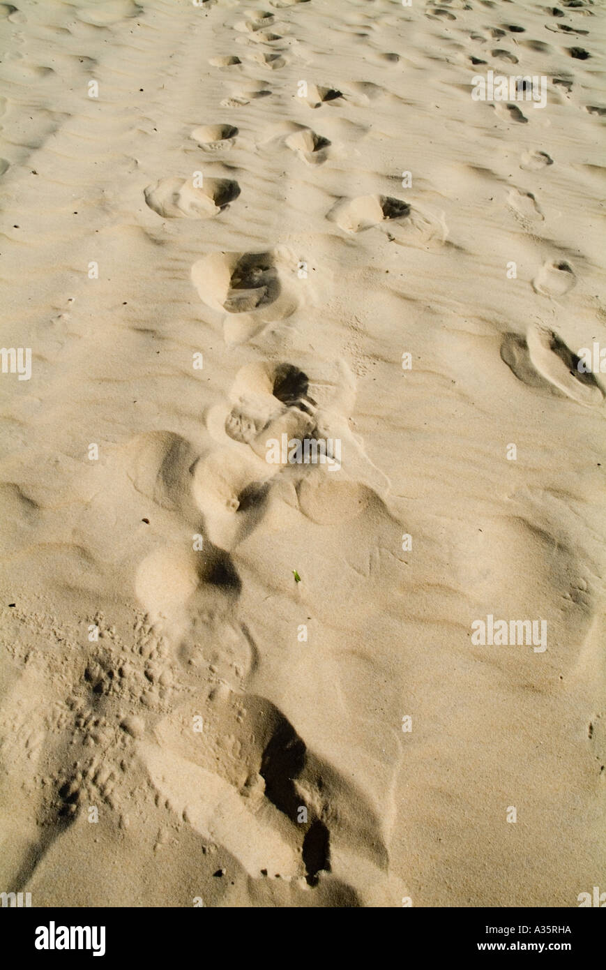 Footprints in desert leading hi-res stock photography and images - Alamy