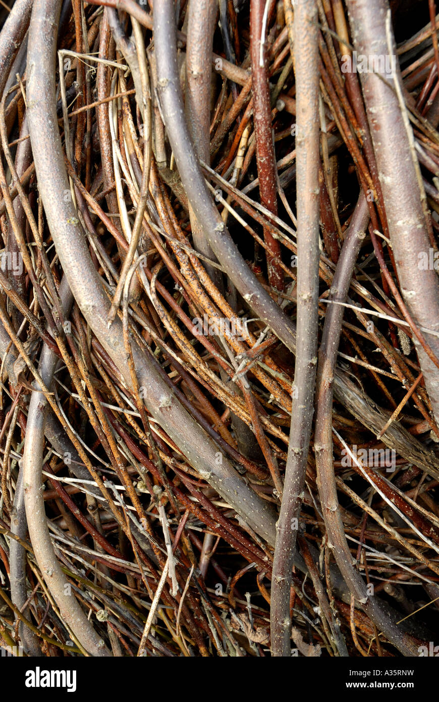 The Big Willow basketry sculpture by Patrick Dougherty at Brahan Estate ...