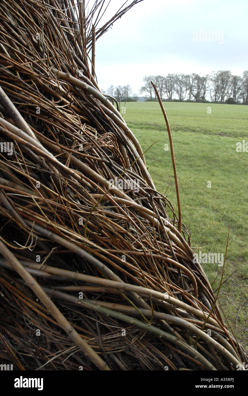 The Big Willow basketry sculpture by Patrick Dougherty at Brahan Estate ...