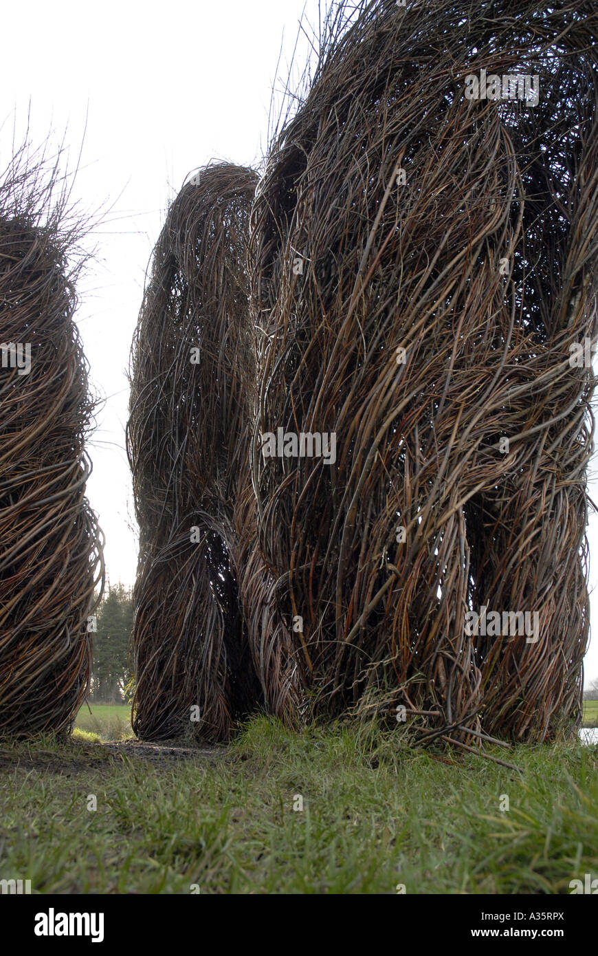 The Big Willow basketry sculpture by Patrick Dougherty at Brahan Estate ...