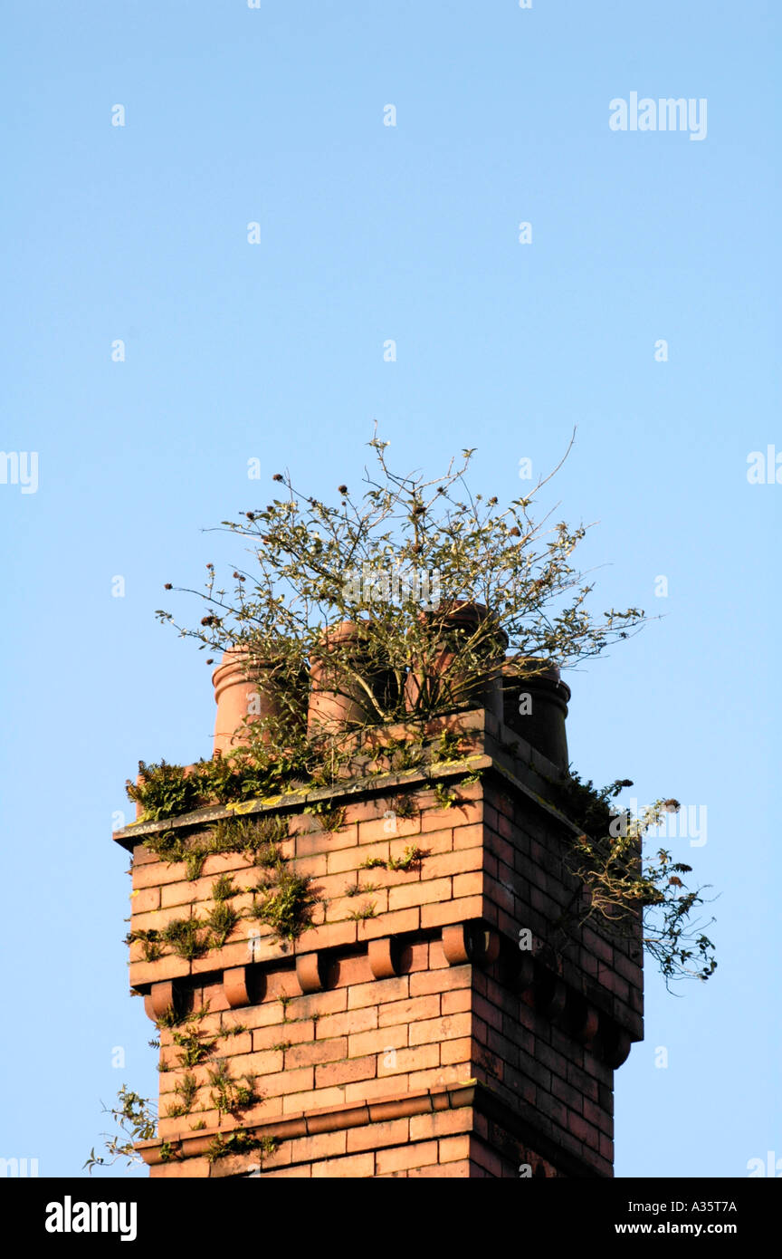Victorian chimneys hi-res stock photography and images - Alamy