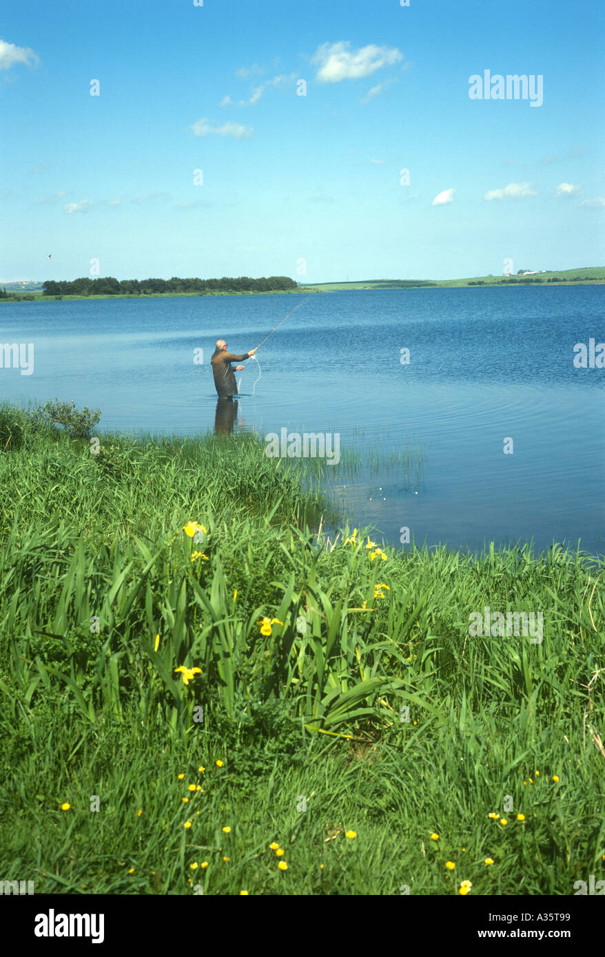 Llyn Alaw High Resolution Stock Photography and Images - Alamy