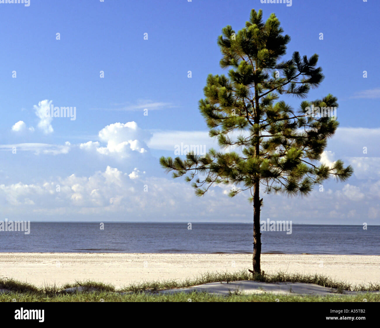 Georgia coast beach hi-res stock photography and images - Alamy