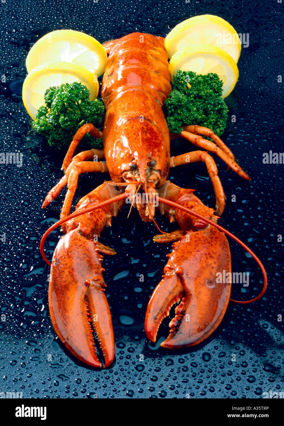 Hummer, lobster with lemon and parsley Stock Photo - Alamy