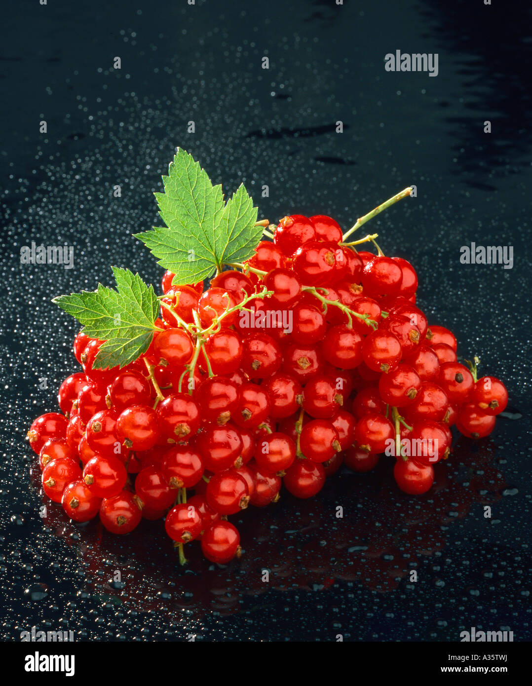 Rote Johannisbeeren, red currant Stock Photo - Alamy