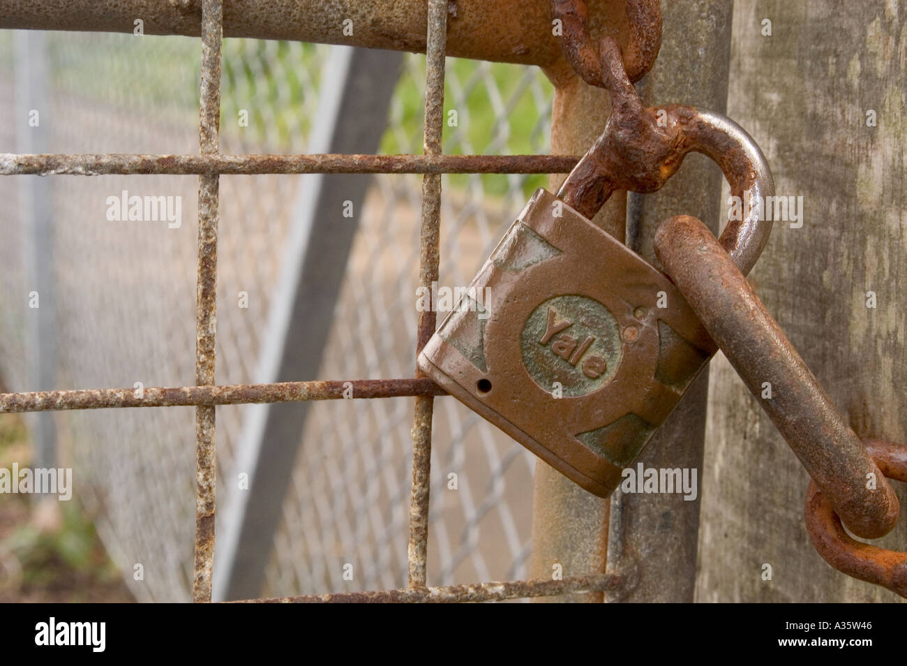 Yale padlock on iron gate Stock Photo - Alamy