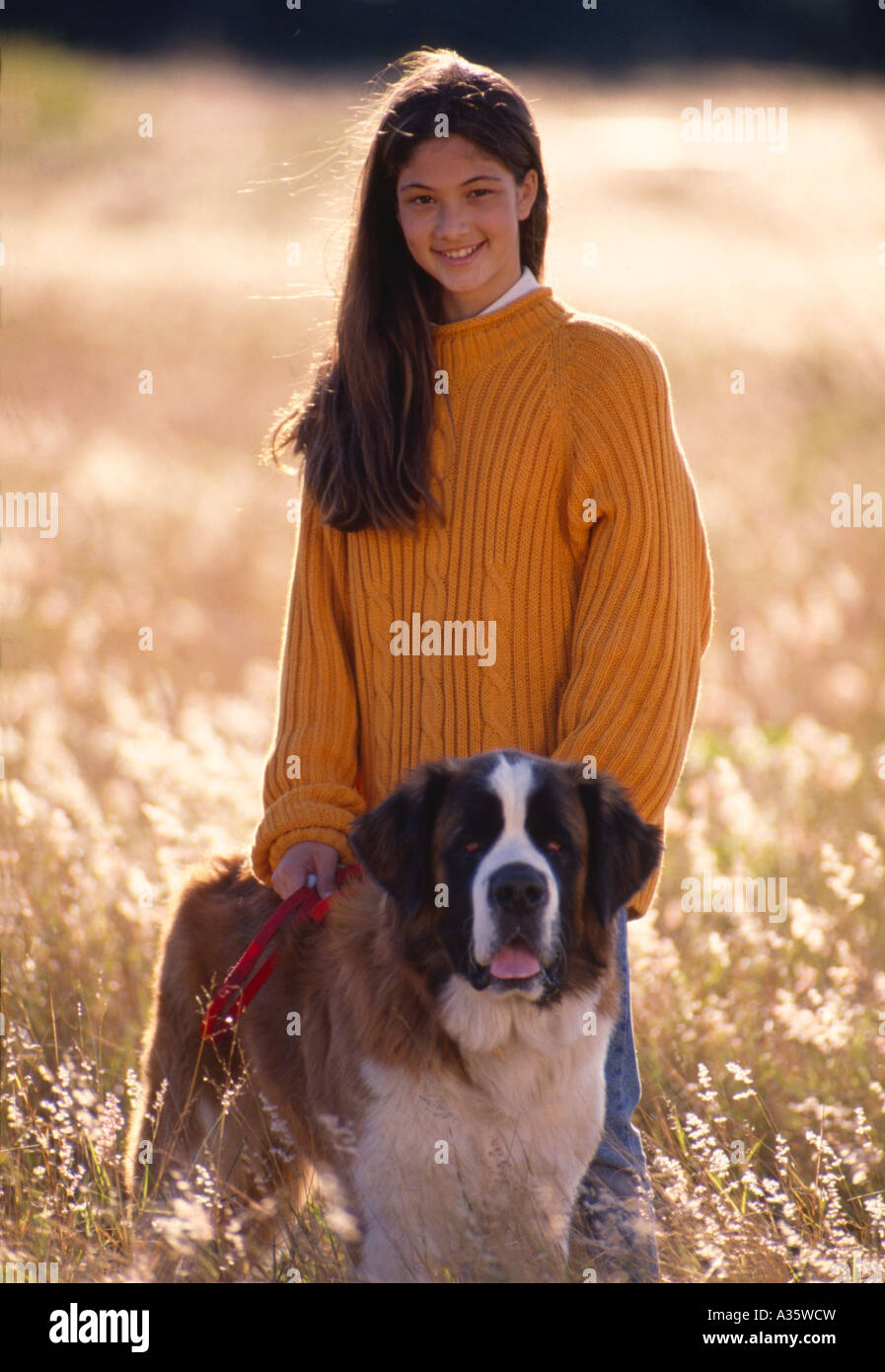 Young girl with Saint Bernard dog Stock Photo - Alamy