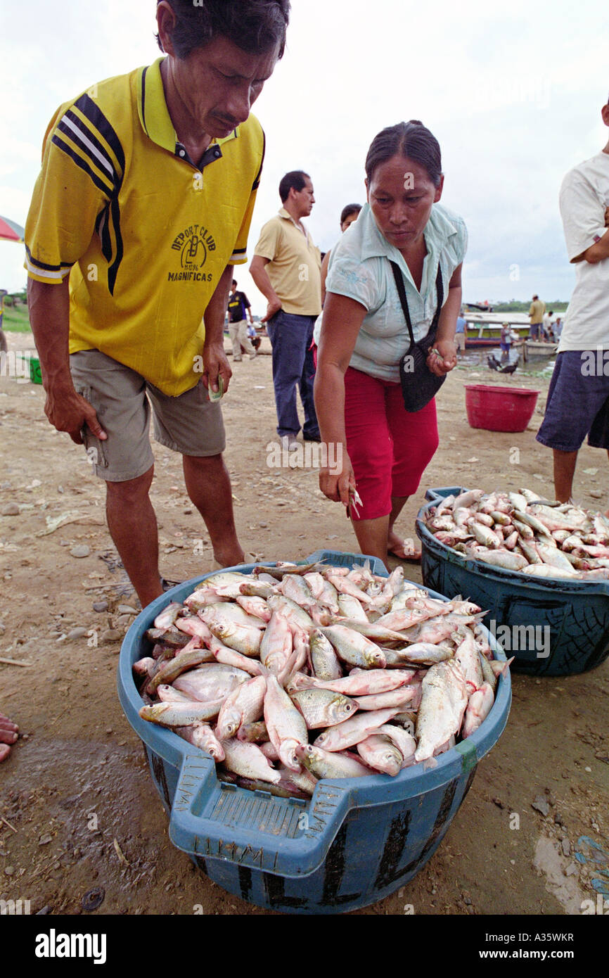 Buying fish from Yarinacocha in Puerto Callao. Near Pucallpa, Peru ...