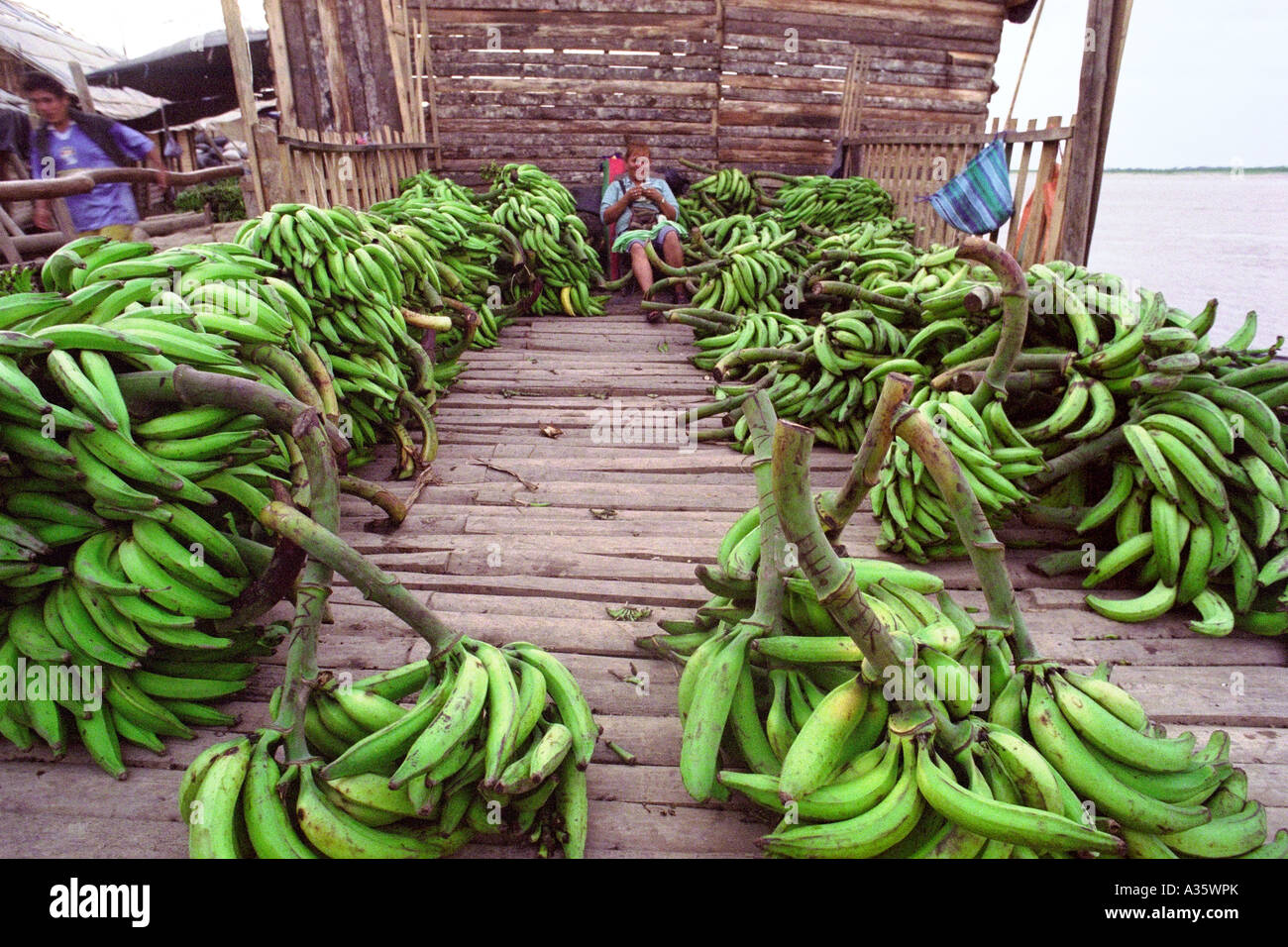 Plantains stacked on the dock for shipment on the Ucayali riverfront in ...