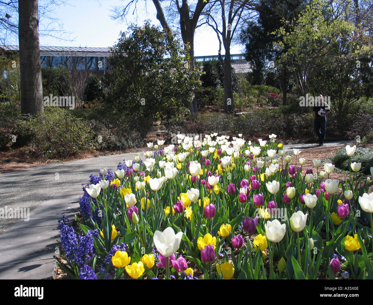 Dallas arboretum and botanical garden hi-res stock photography and ...