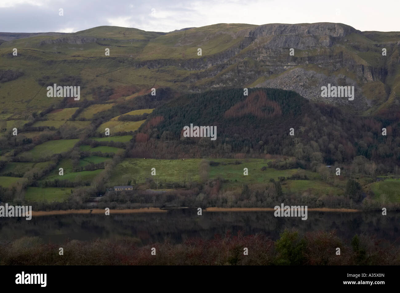 Shamrock lake hi-res stock photography and images - Alamy