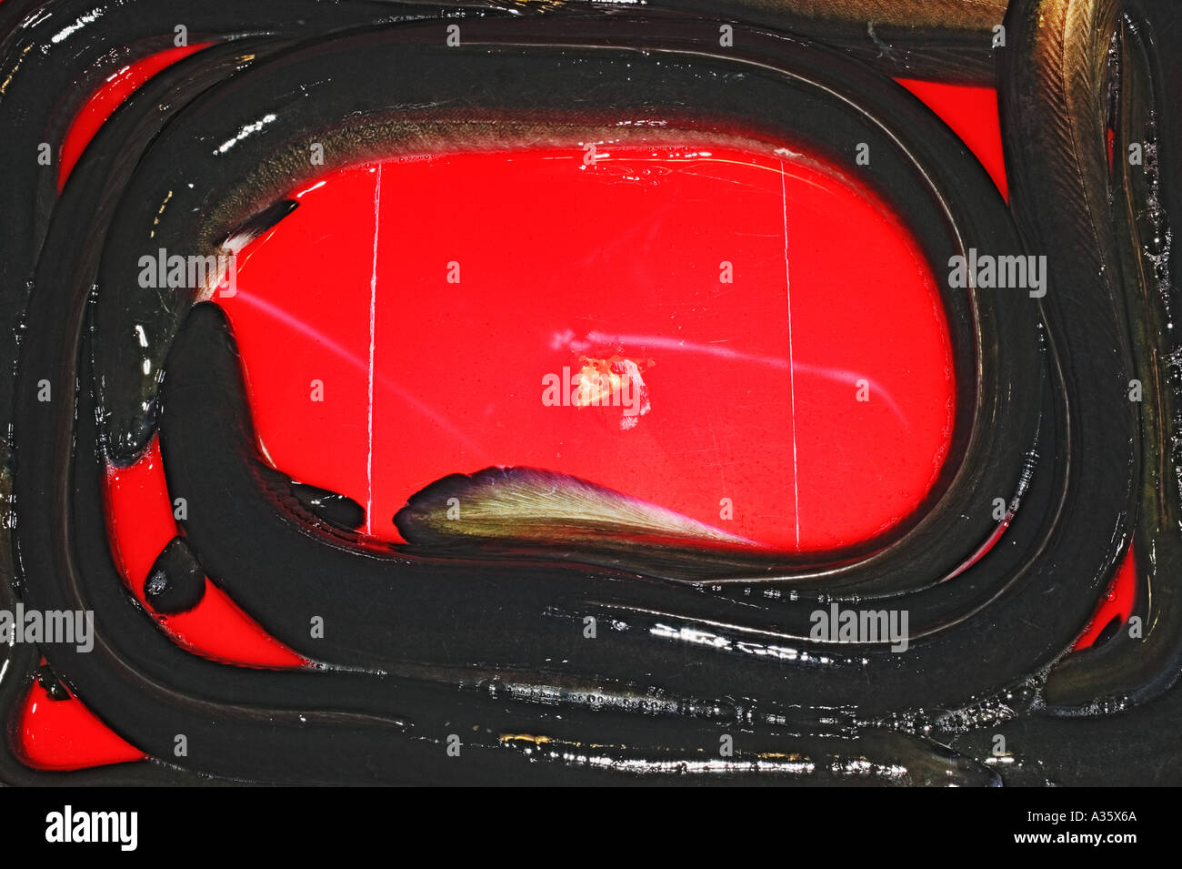 Eels In Red Plastic Container Fish Market Venice Italy Stock Photo - Alamy
