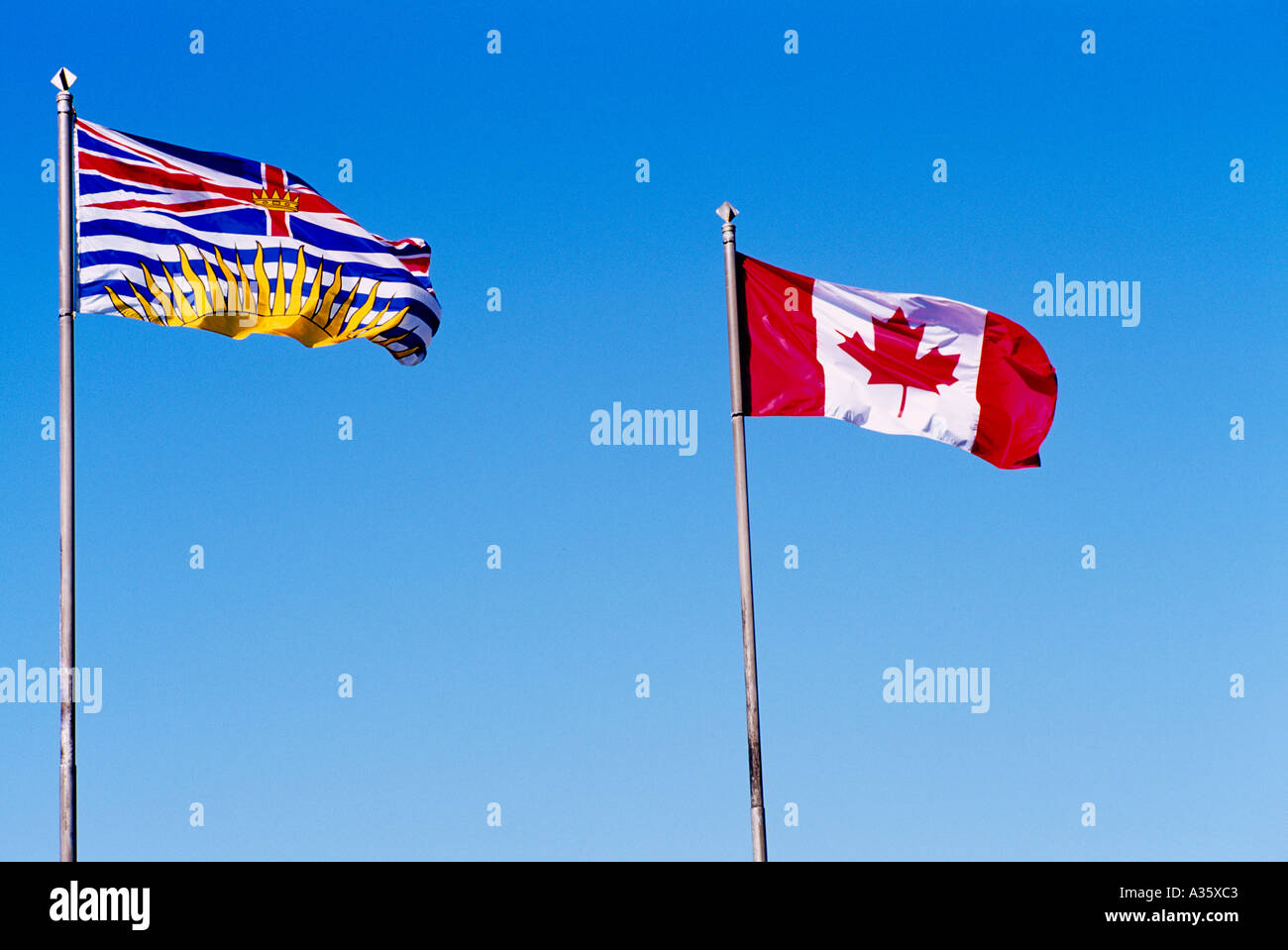 Canadian flag flying proud in hi-res stock photography and images - Alamy