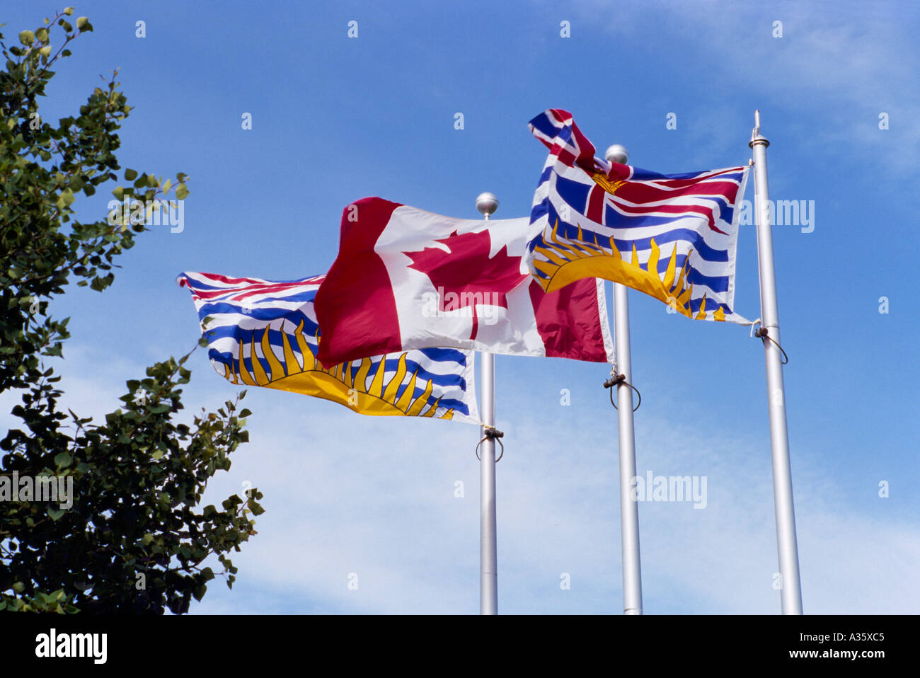 A Canadian National Flag with Red Maple Leaf and 2 Provincial Flags of ...