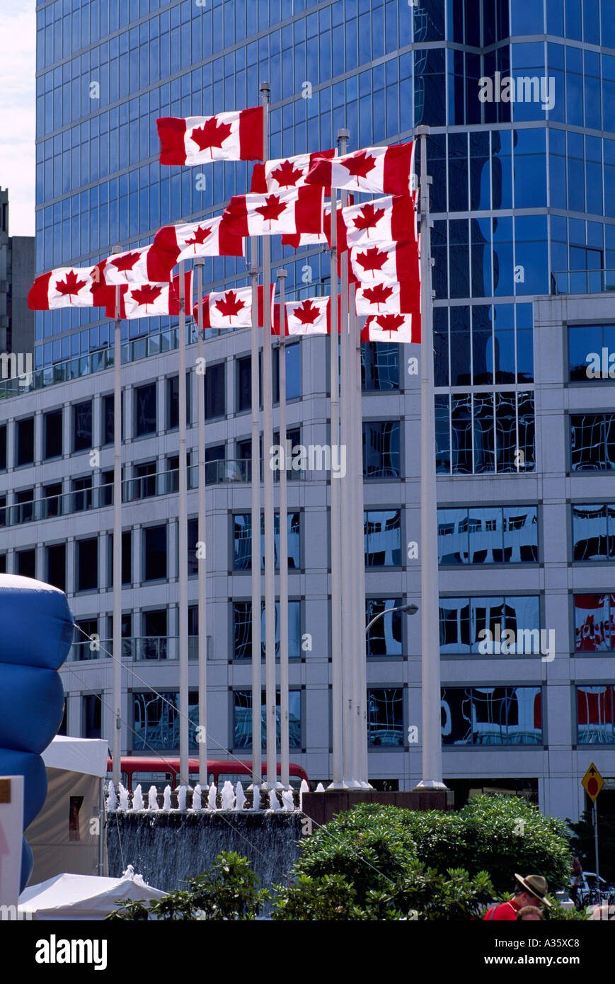 A Group of Canadian National Flags flying and blowing in the Wind on a ...
