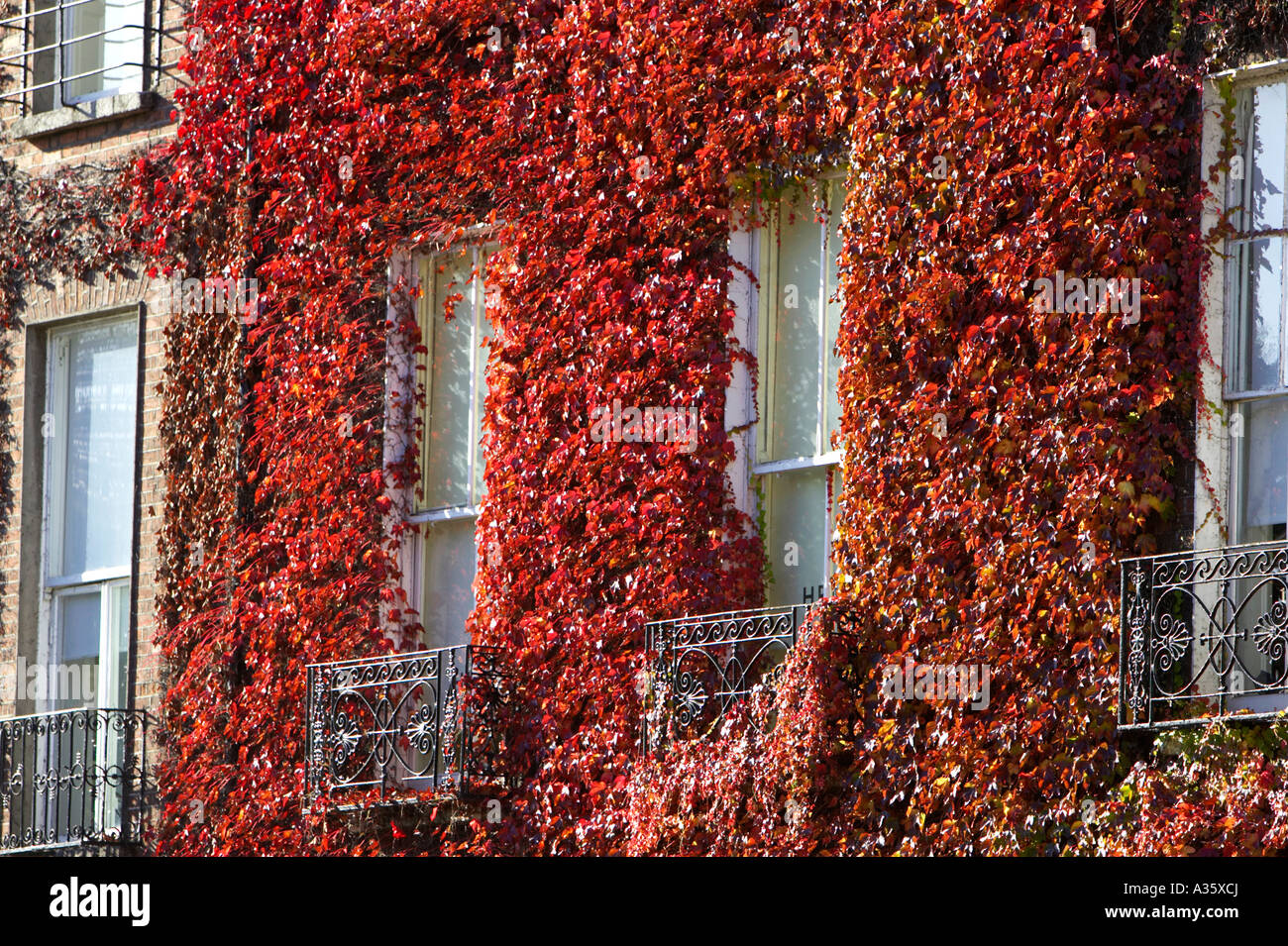 Fitzwilliam square hi-res stock photography and images - Alamy