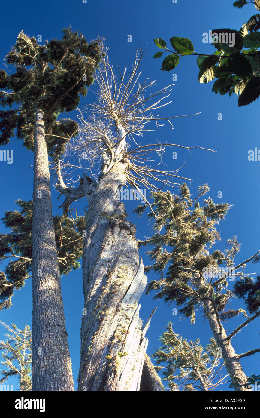 Gunter Marx High Resolution Stock Photography and Images - Alamy