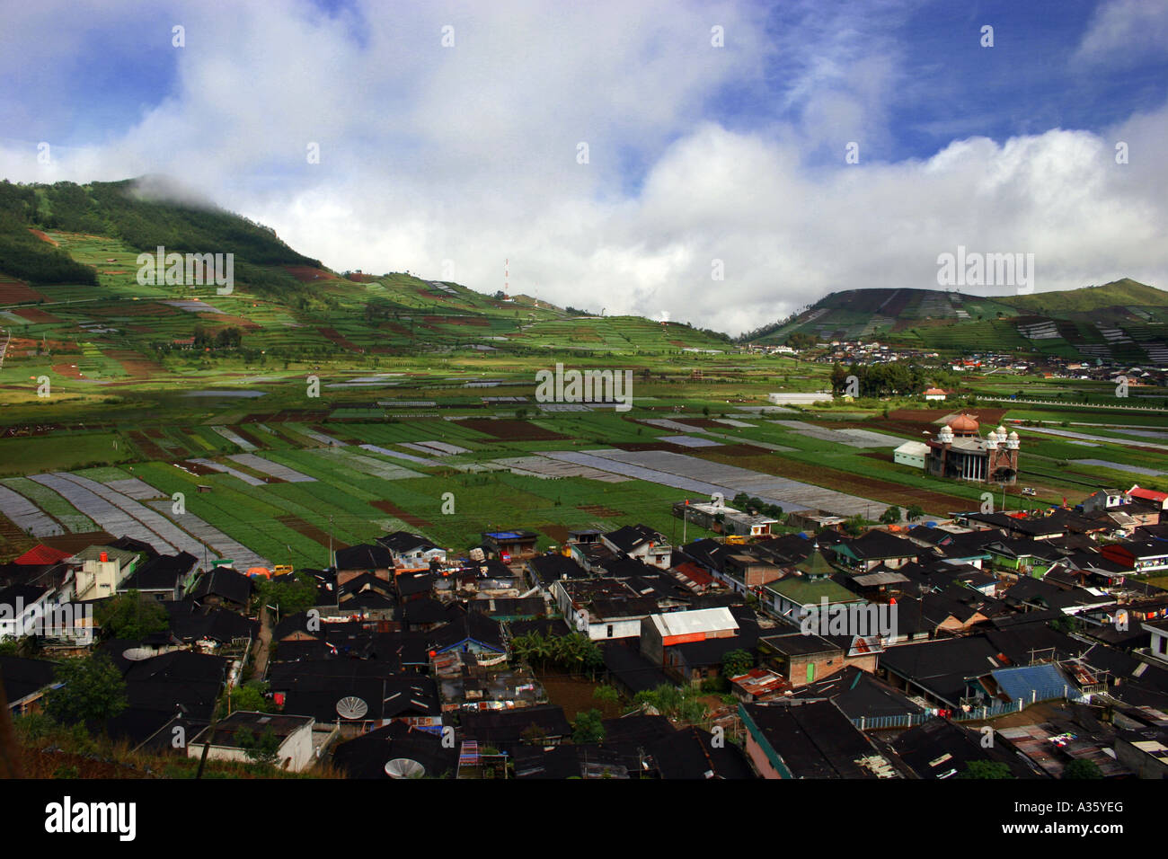 A view of Dieng Plateau village and farm fields, Indonesia Stock Photo ...