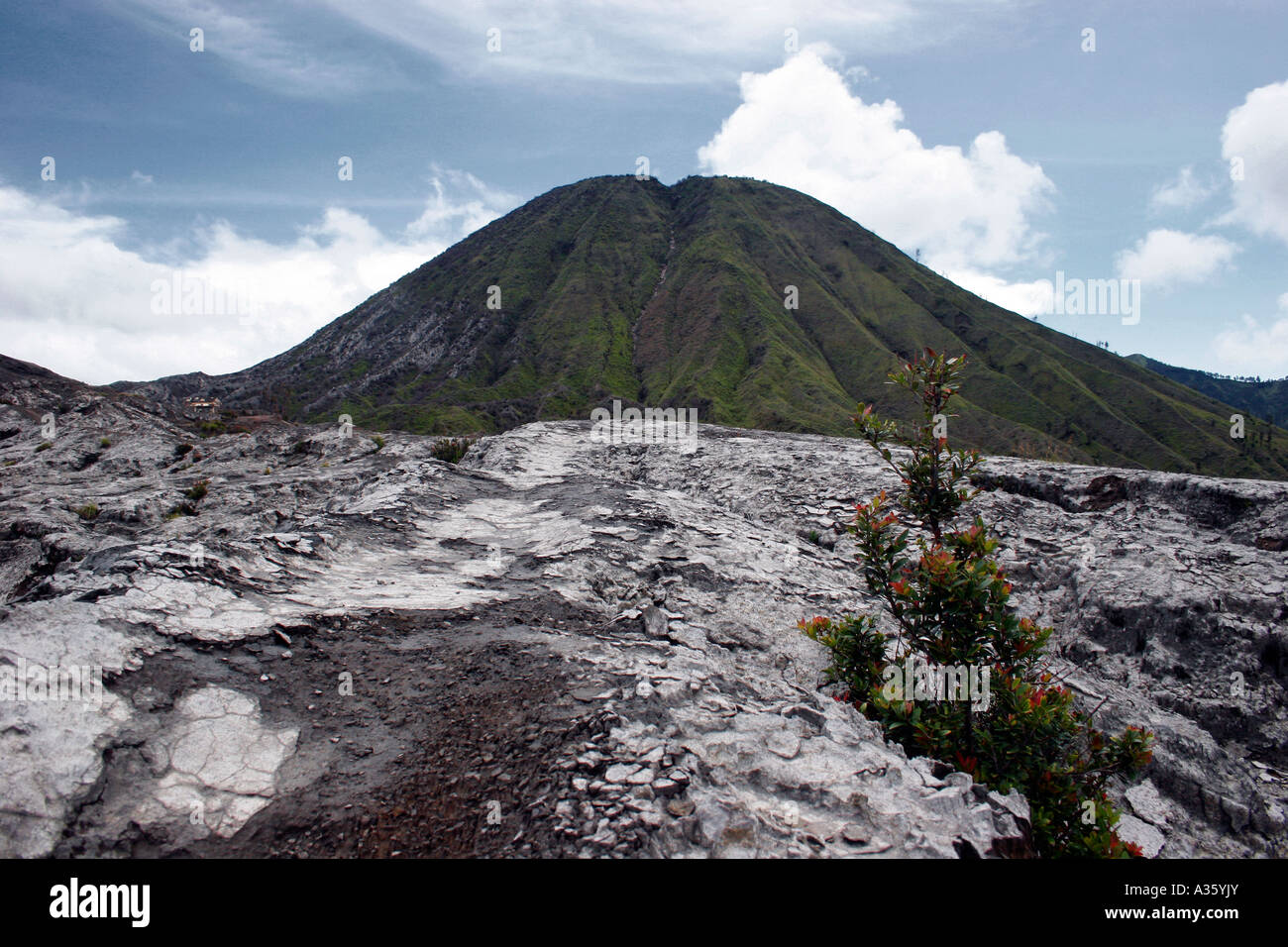 View on Mount Batok from the flanks of Mount Bromo, Indonesia Stock ...
