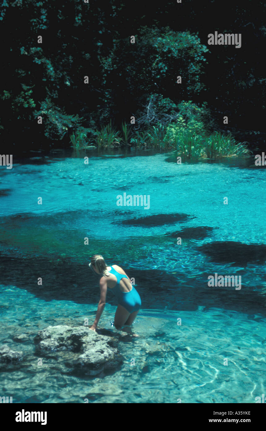 Florida Fresh Water Spring Stock Photo - Alamy
