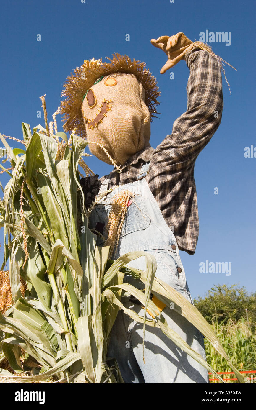 A friendly looking scarecrow wearing overalls, a flannel shirt, and a ...