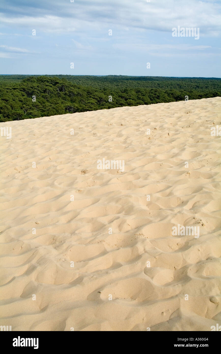 The Pyla great sand dune and the Landes forest in France Aquitaine ...
