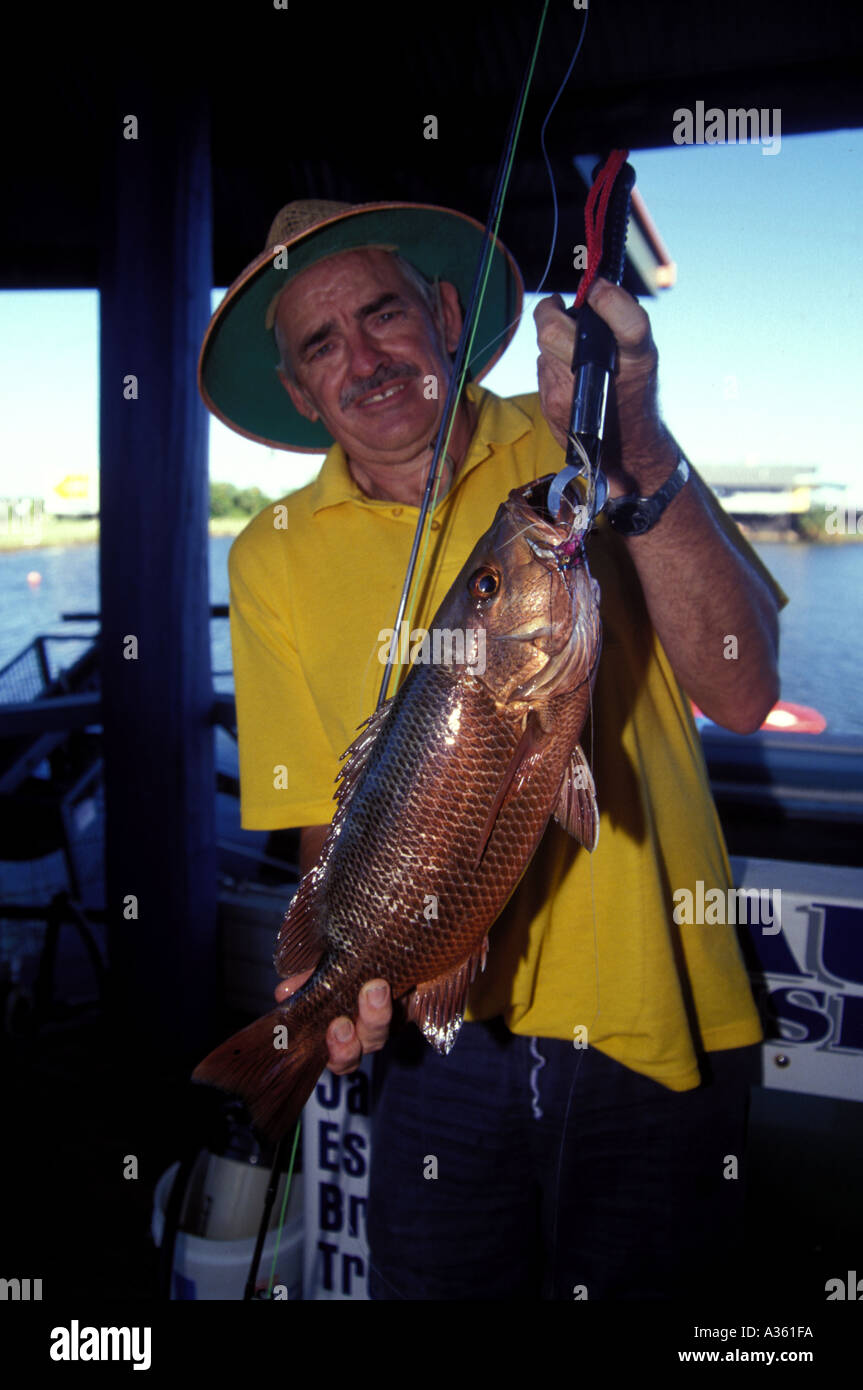 Mangrove jack hi-res stock photography and images - Alamy